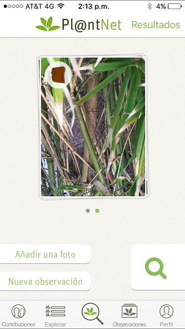 Conoce la App PlantNet – Pensemos Verde
