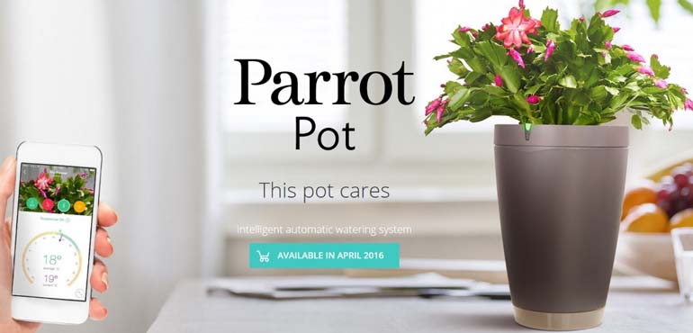 Parrot Pot, maceta que mantiene saludable a nuestras plantas – Pensemos ...