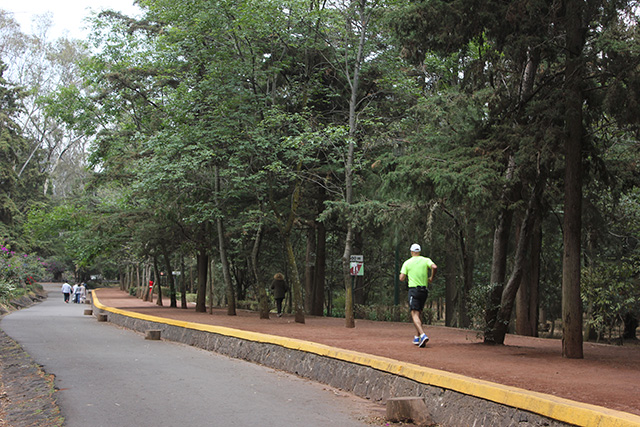 El Bosque de Tlalpan, pulmón de la Ciudad de México – Pensemos Verde