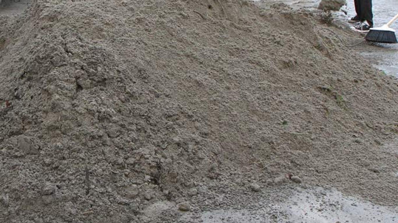 Cenizas que salvarán al mundo – Pensemos Verde